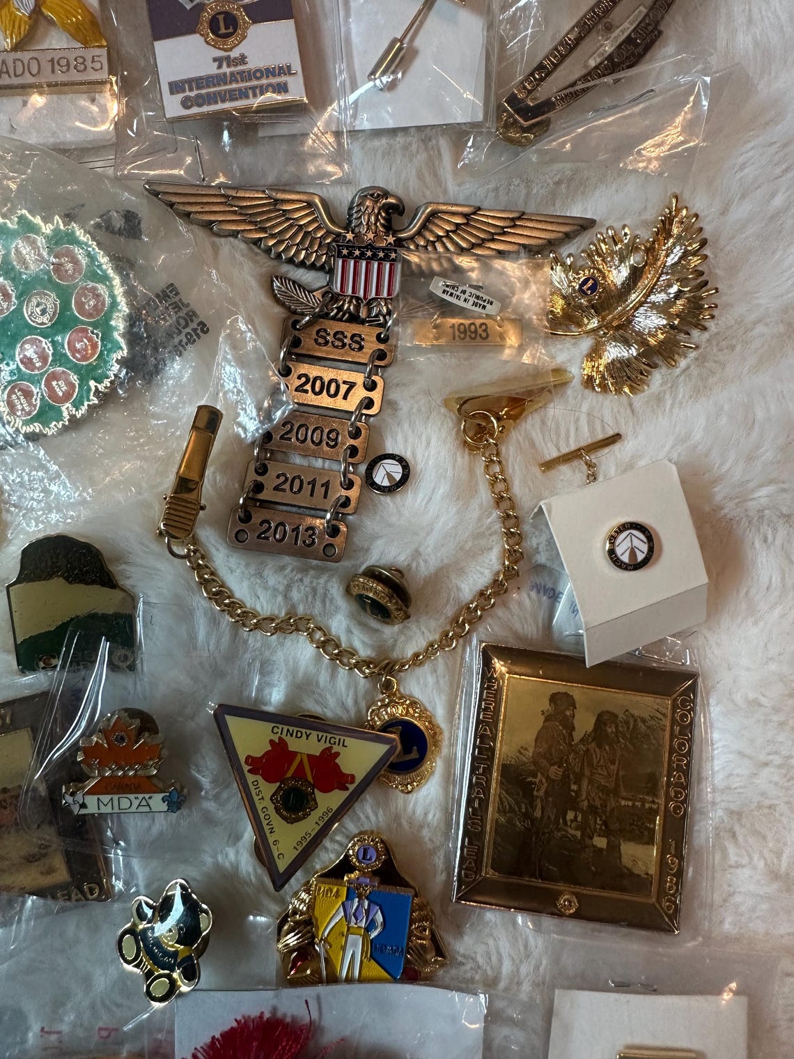 Lot of 80+ Vintage Lions Club Pins - Etsy