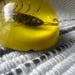 Scorpion Lucite Paperweight - Etsy