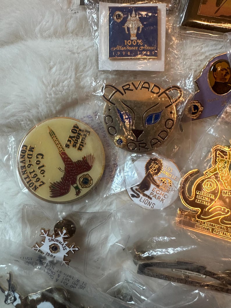 Lot of 80+ Vintage Lions Club Pins - Etsy