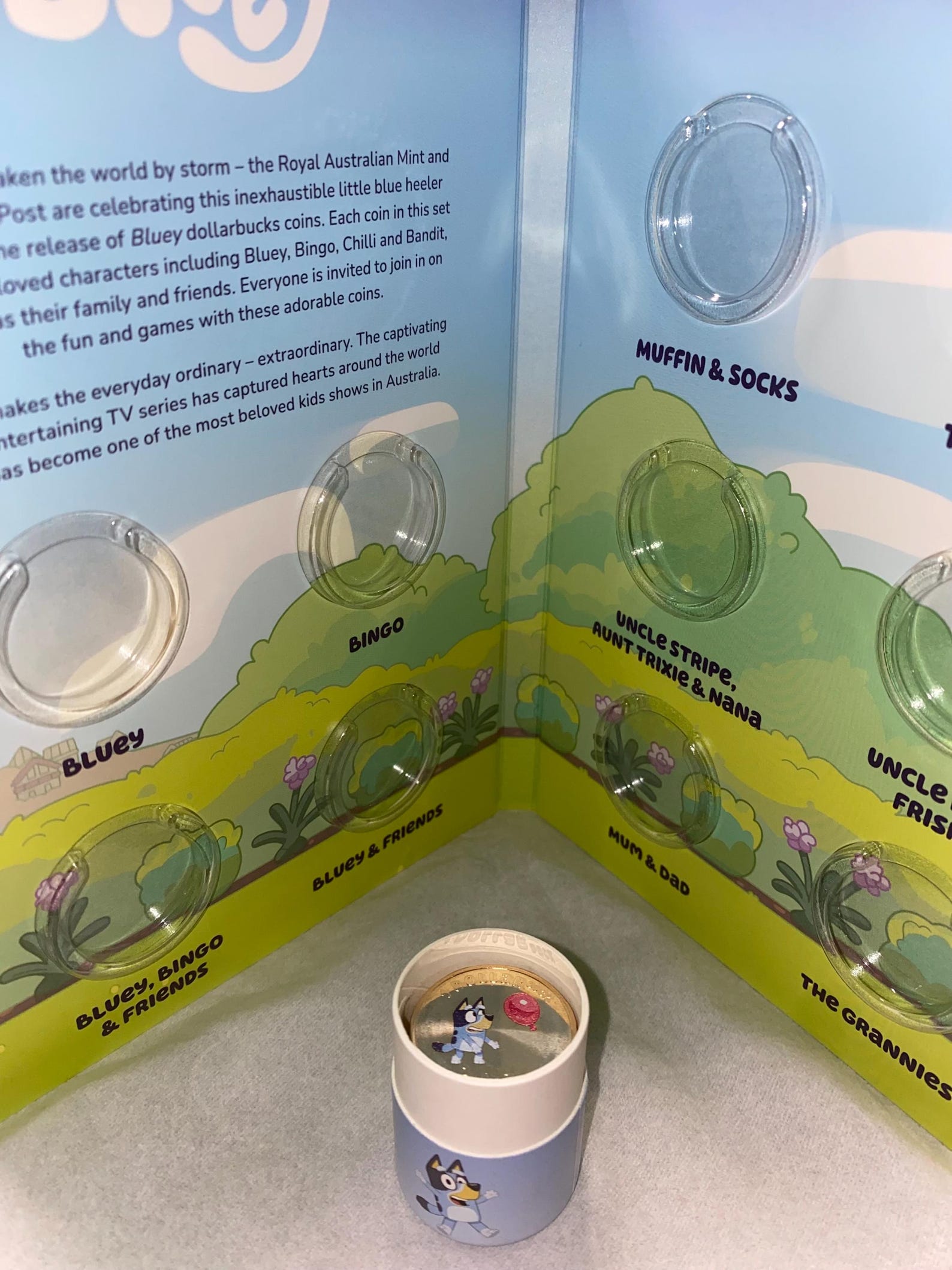 Bluey Colored Coin in Tube Set 2024 - Etsy Australia