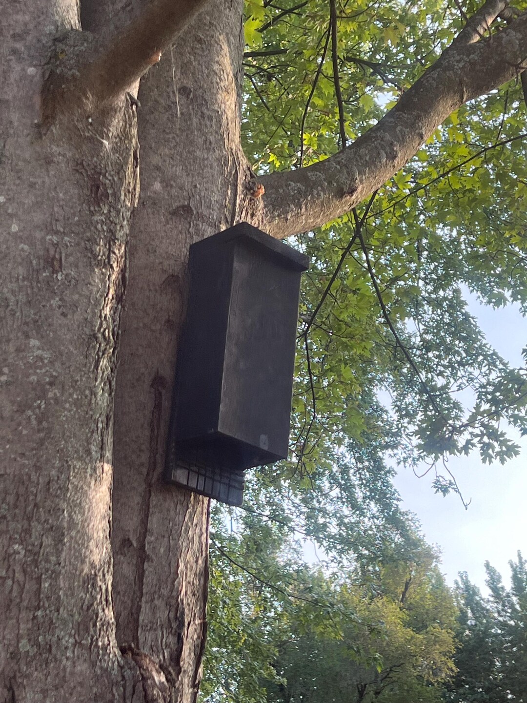 Handmade Pine Eco Bat House Roost Shelter Durable Ships Assembled 14"x5 ...