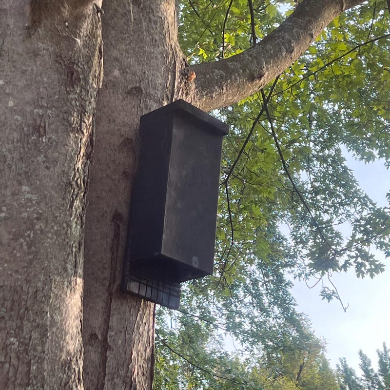 Bat House for Outdoors - Etsy
