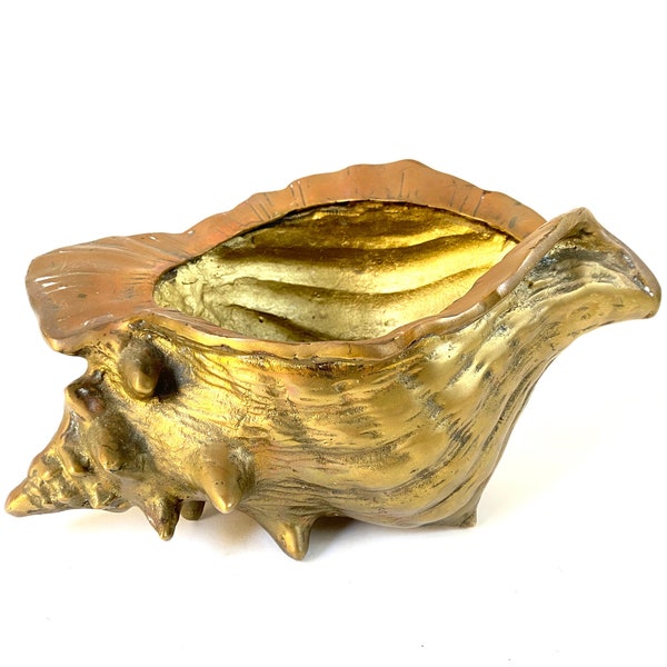 Conch Shell Planter - Etsy