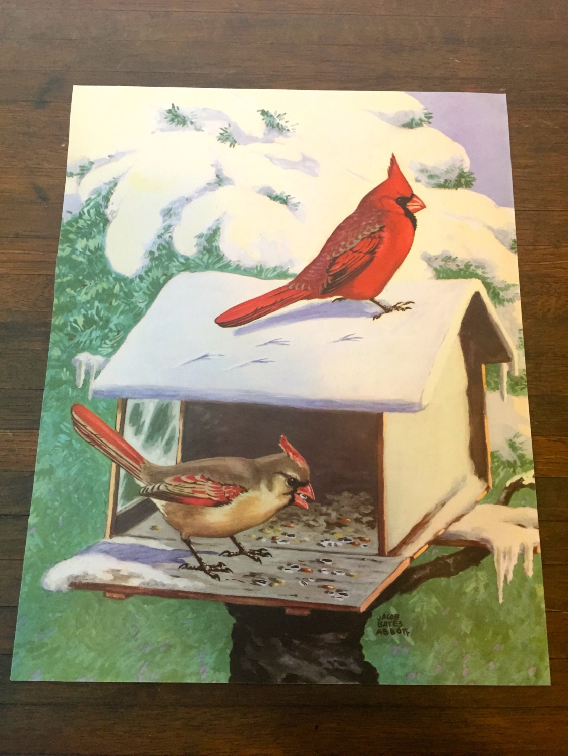 Vintage Cardinal Bird Print, Jacob Bates Abbott Illustration, Nursery ...