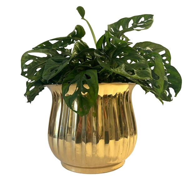 Gold Planter - Etsy