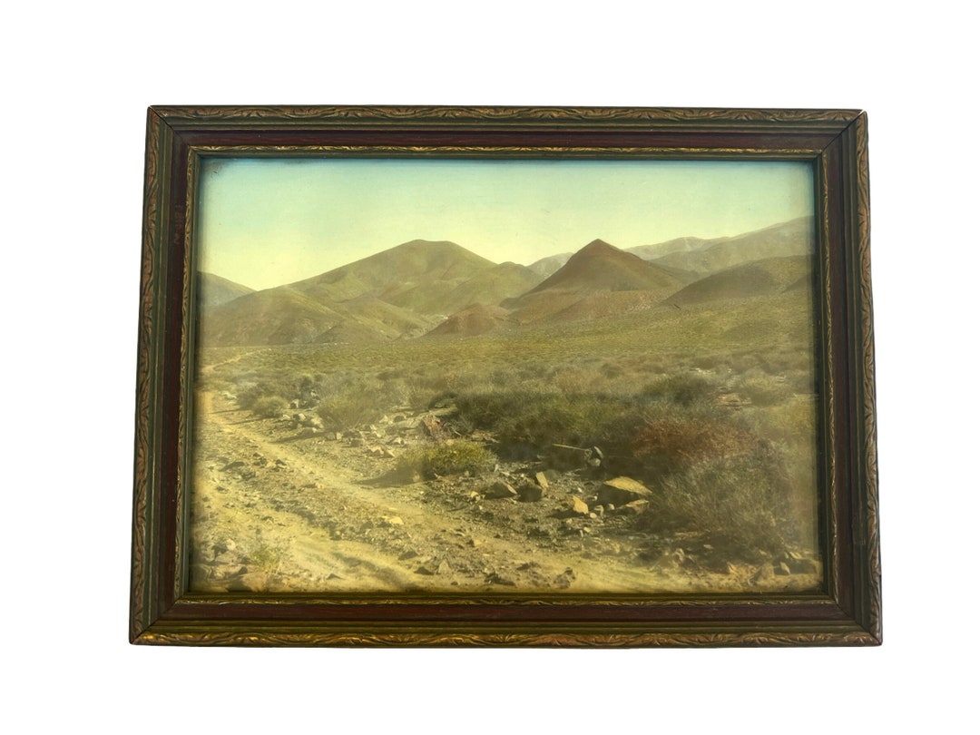 Vintage Hand Colored Photo~ Oil Colored Landscape Photograph~ Sagebush ...