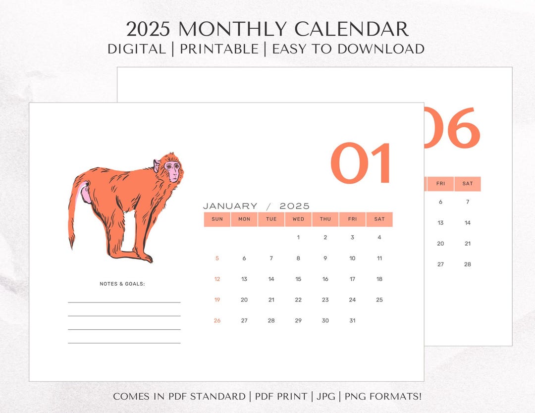 Baboon 2025 Year Printable Landscape Calendar, Baboon Calendar ...