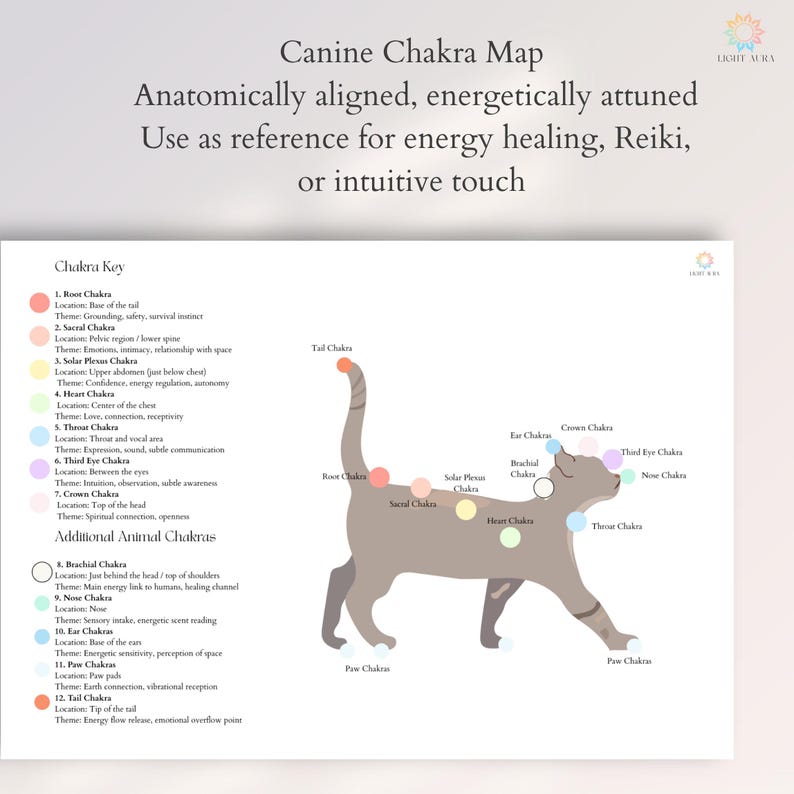 Canine Reiki Session Notes – Printable Cat Chakra Worksheet | Energy ...