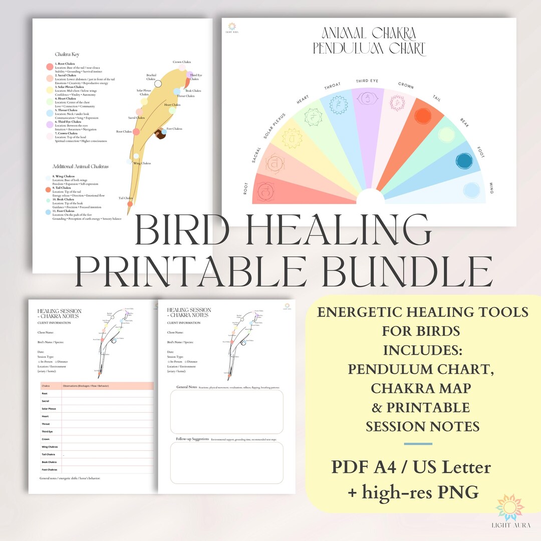 Bird Reiki Session Notes – Printable Avian Chakra Worksheet | Energy ...