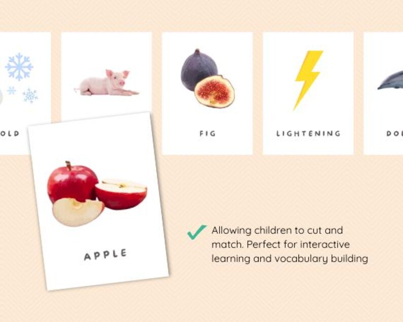 Printable Flashcards | Flashcards for Kids | Flashcards | Flash Cards ...