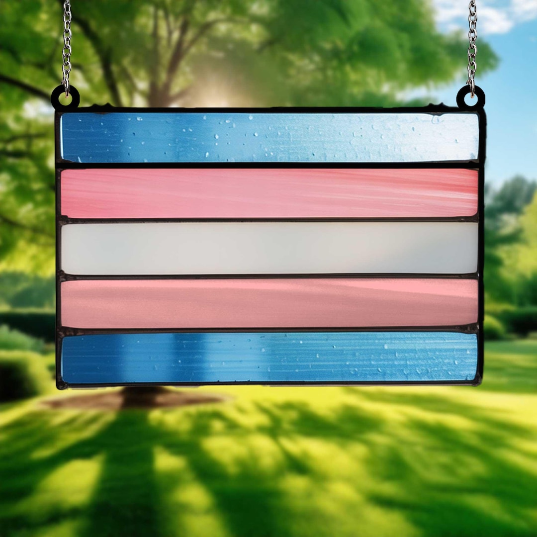 Transgender Pride Flag Suncatcher, Acrylic Hanging Window Decor in Pink ...
