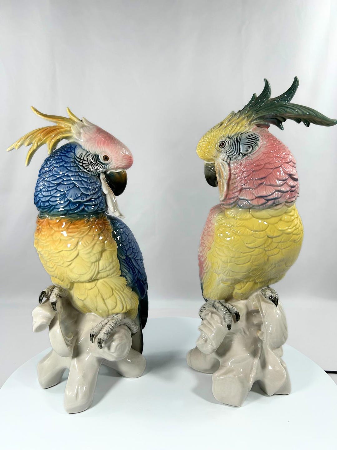 Pair of Parrots in German Porcelain - Etsy