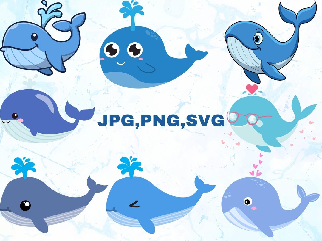 Cute Whale Clipart/whale Graphics/ Under the Sea Clipart/ Cute Whale ...