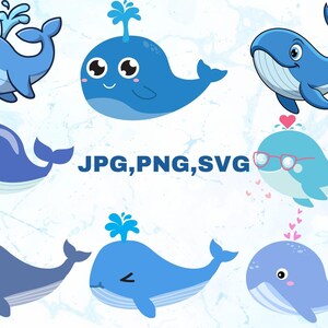 Cute Whale Clipart/whale Graphics/ Under the Sea Clipart/ Cute Whale ...