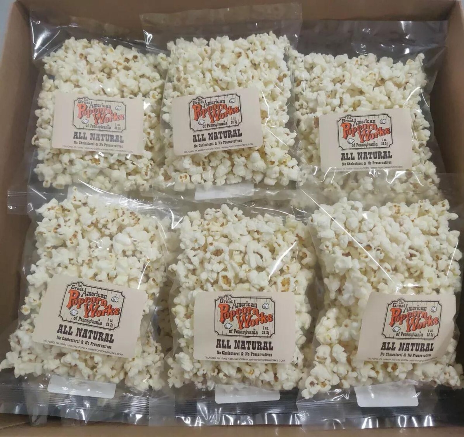 All Natural Salted Gourmet Popcorn | Case of 24 1oz Snack Bags - Etsy