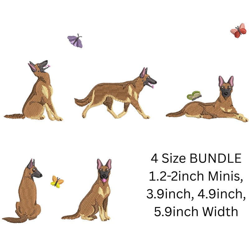 Belgian Malinois - Etsy
