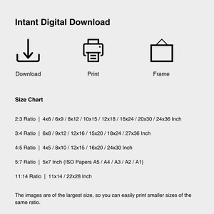 One Piece Anime Poster - Vibrant Wall Art Print Eiichiro Oda Movie ...