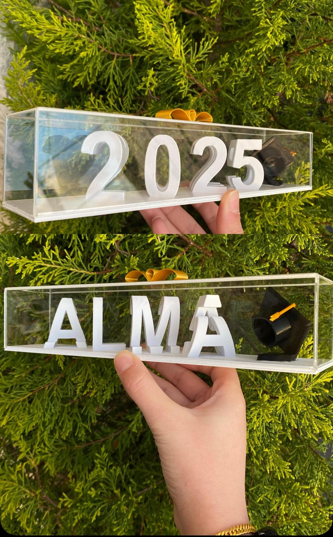 Graduation Gift 2025 | Personalized Flip Name | 3D Printed Illusion ...