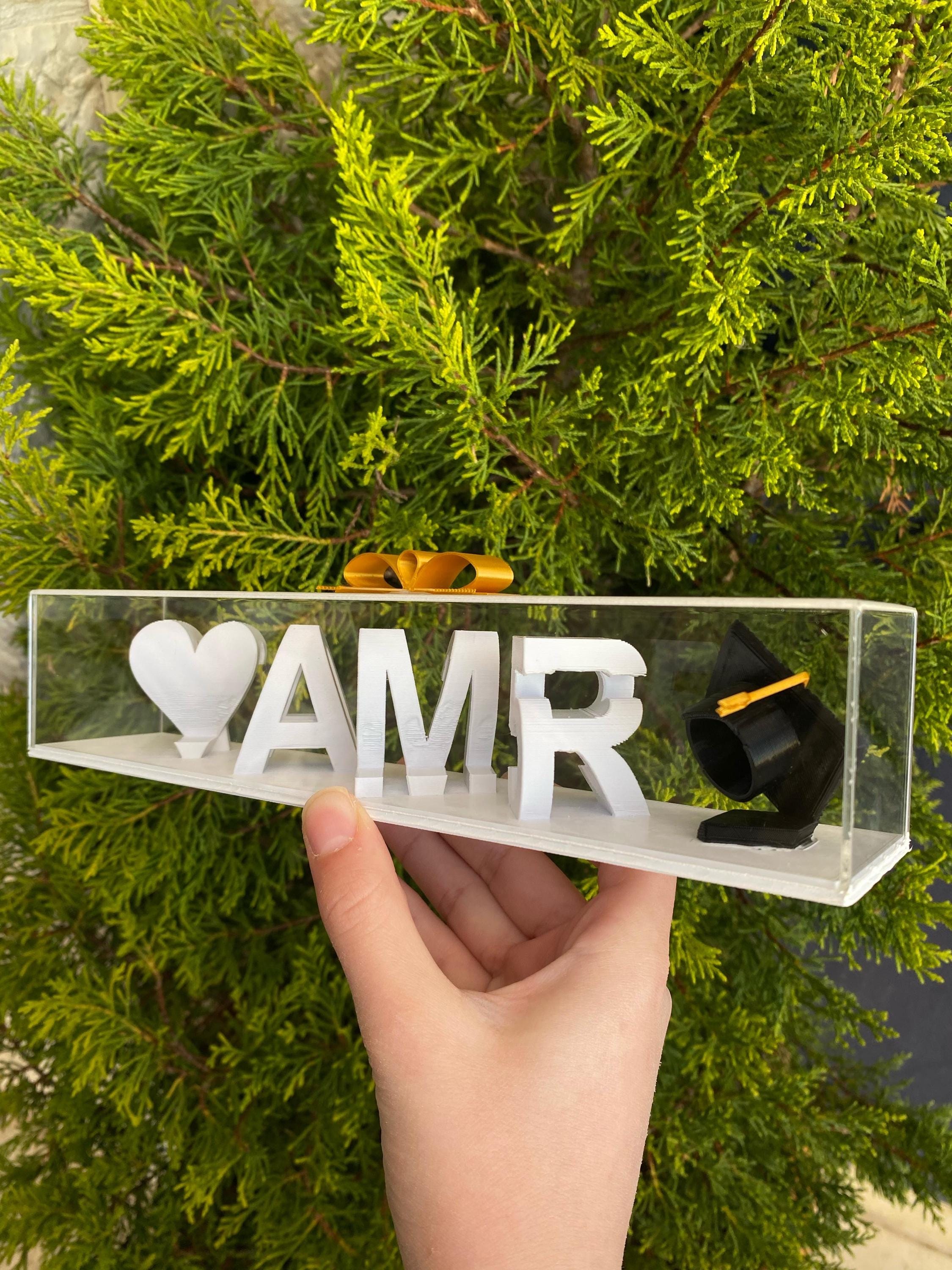 Graduation Gift 2025 | Personalized Flip Name | 3D Printed Illusion ...
