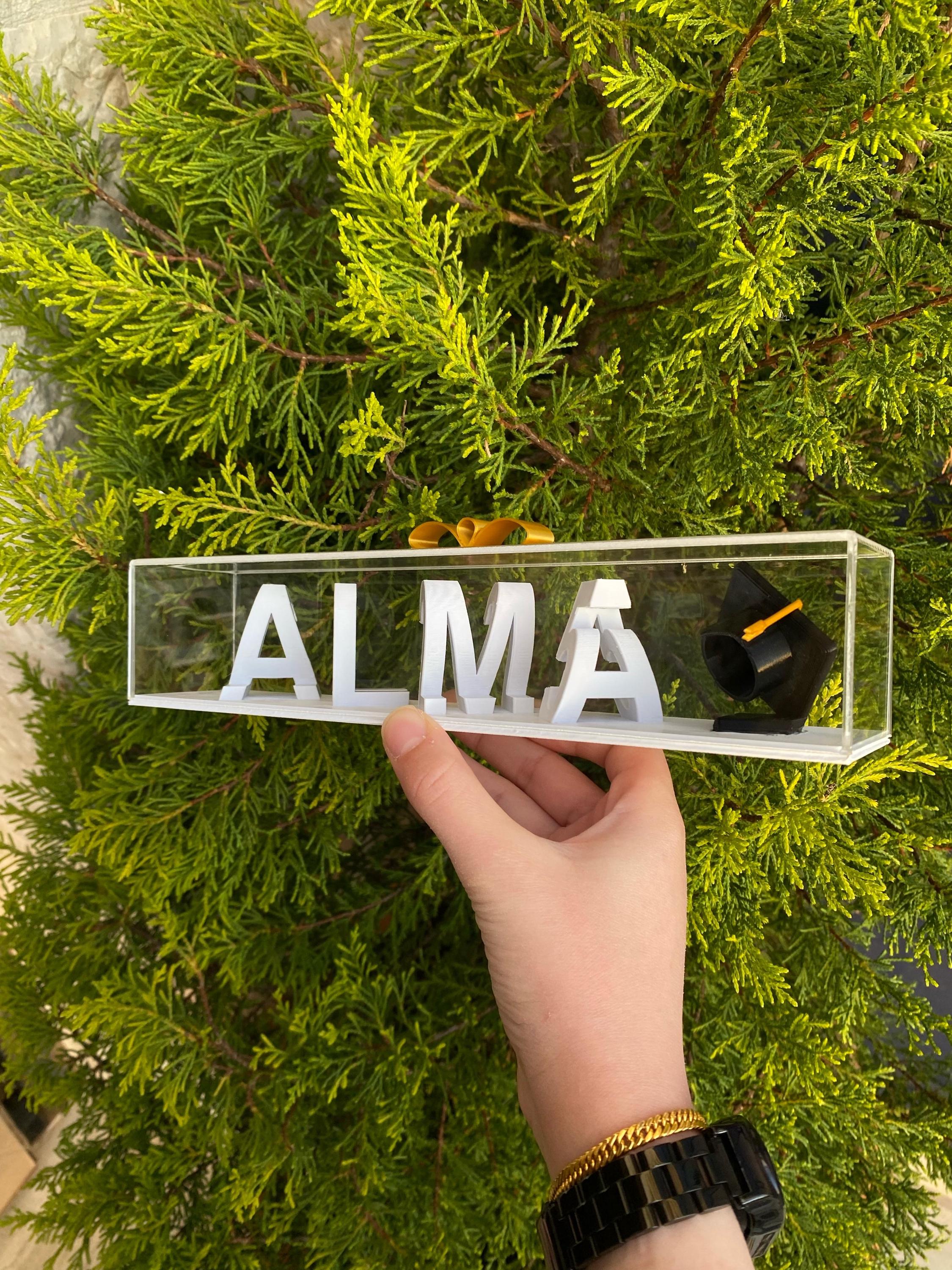 Graduation Gift 2025 | Personalized Flip Name | 3D Printed Illusion ...