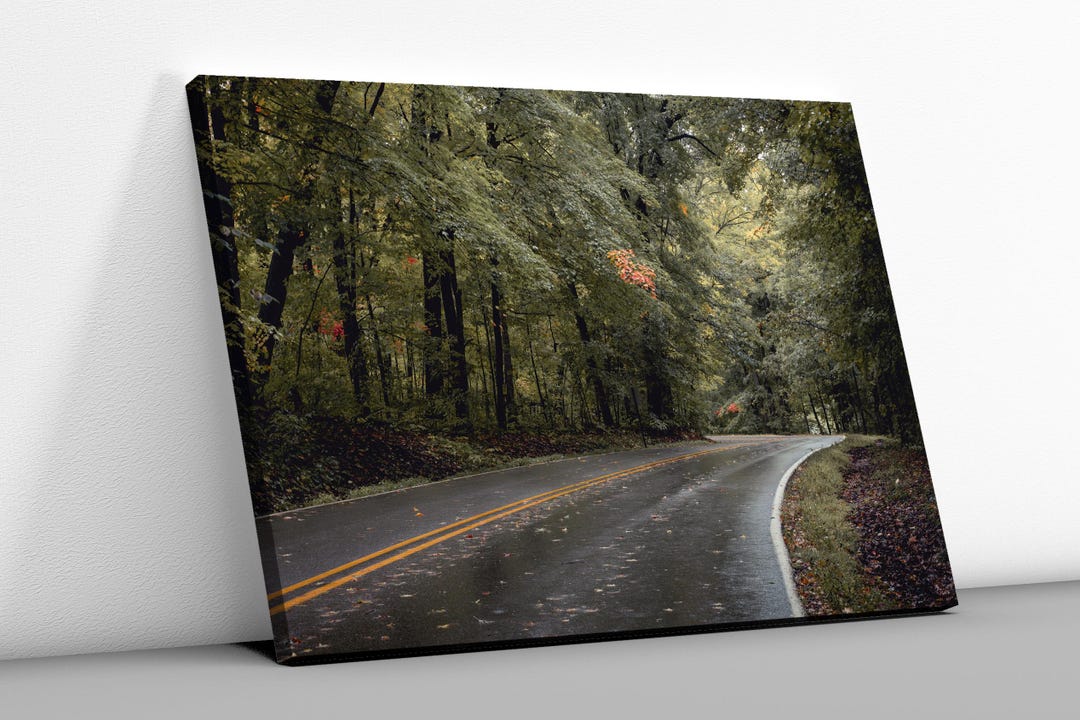 Rustic Country Road Wall Art, Moody Print, Roadside Photograph, Large ...