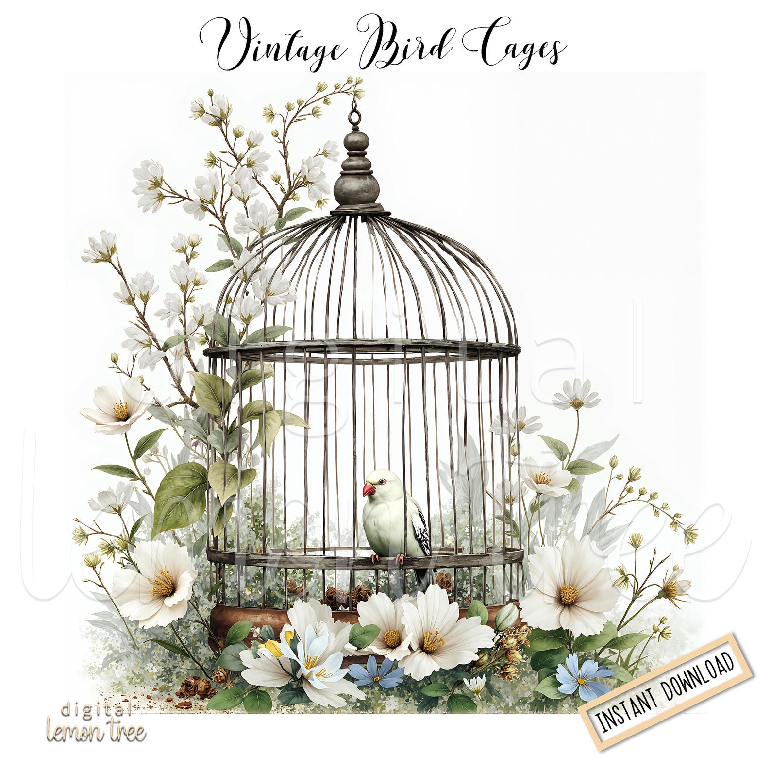Watercolor Vintage Bird Cages Clipart: Victorian Style (digital ...