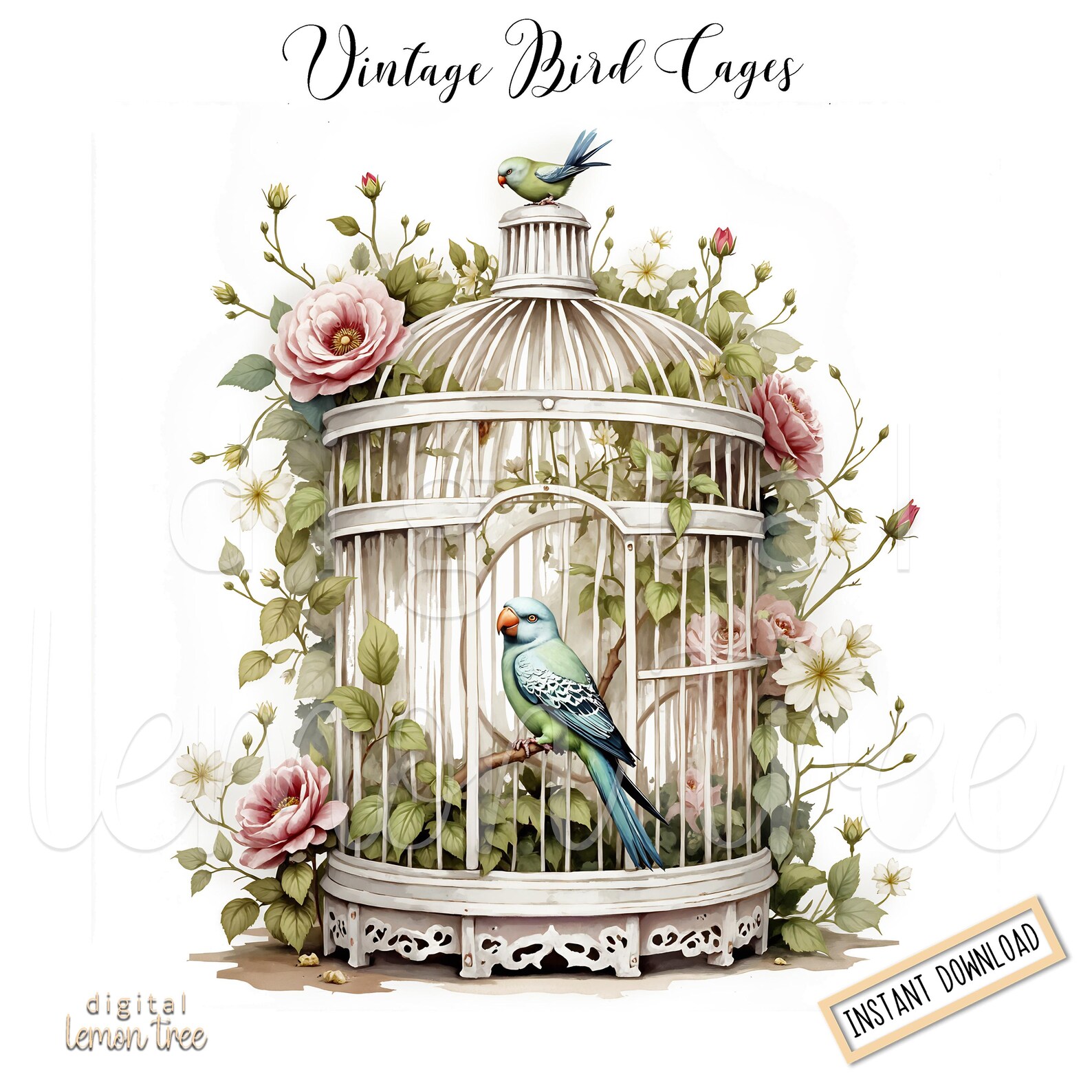 Watercolor Vintage Bird Cages Clipart: Victorian Style (digital ...