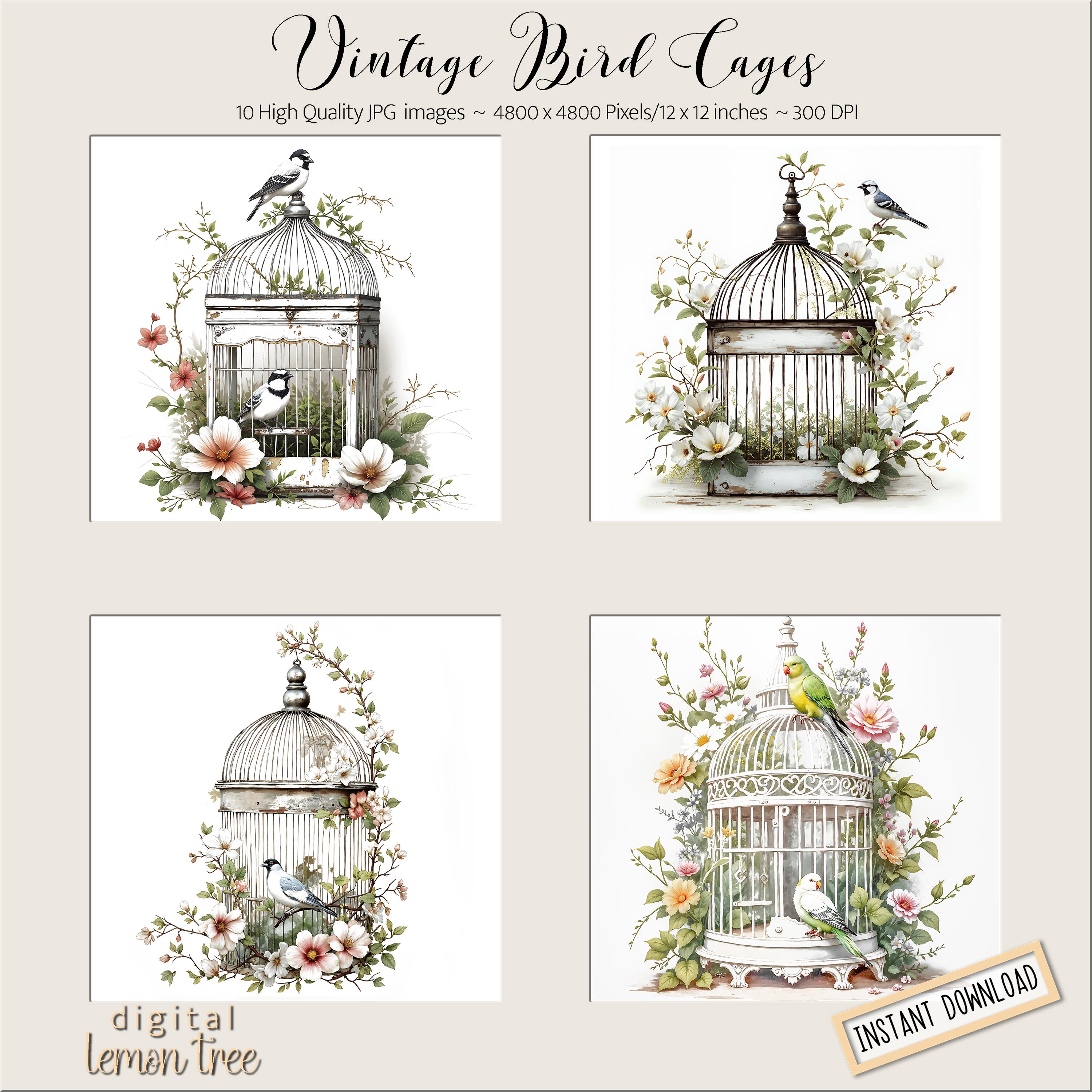 Watercolor Vintage Bird Cages Clipart: Victorian Style (digital ...