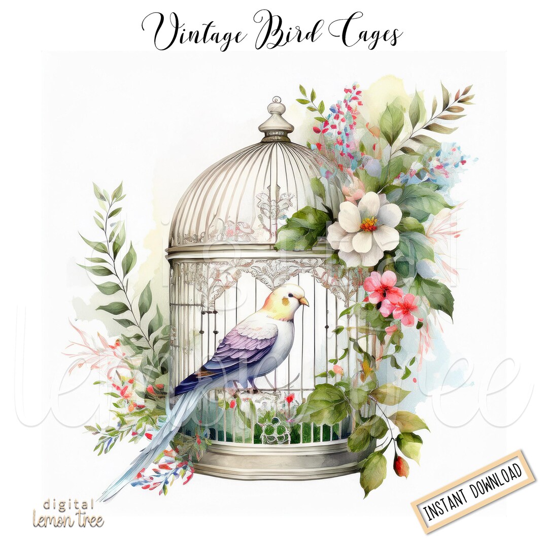 Watercolor Vintage Bird Cages Clipart: Victorian Style (digital ...