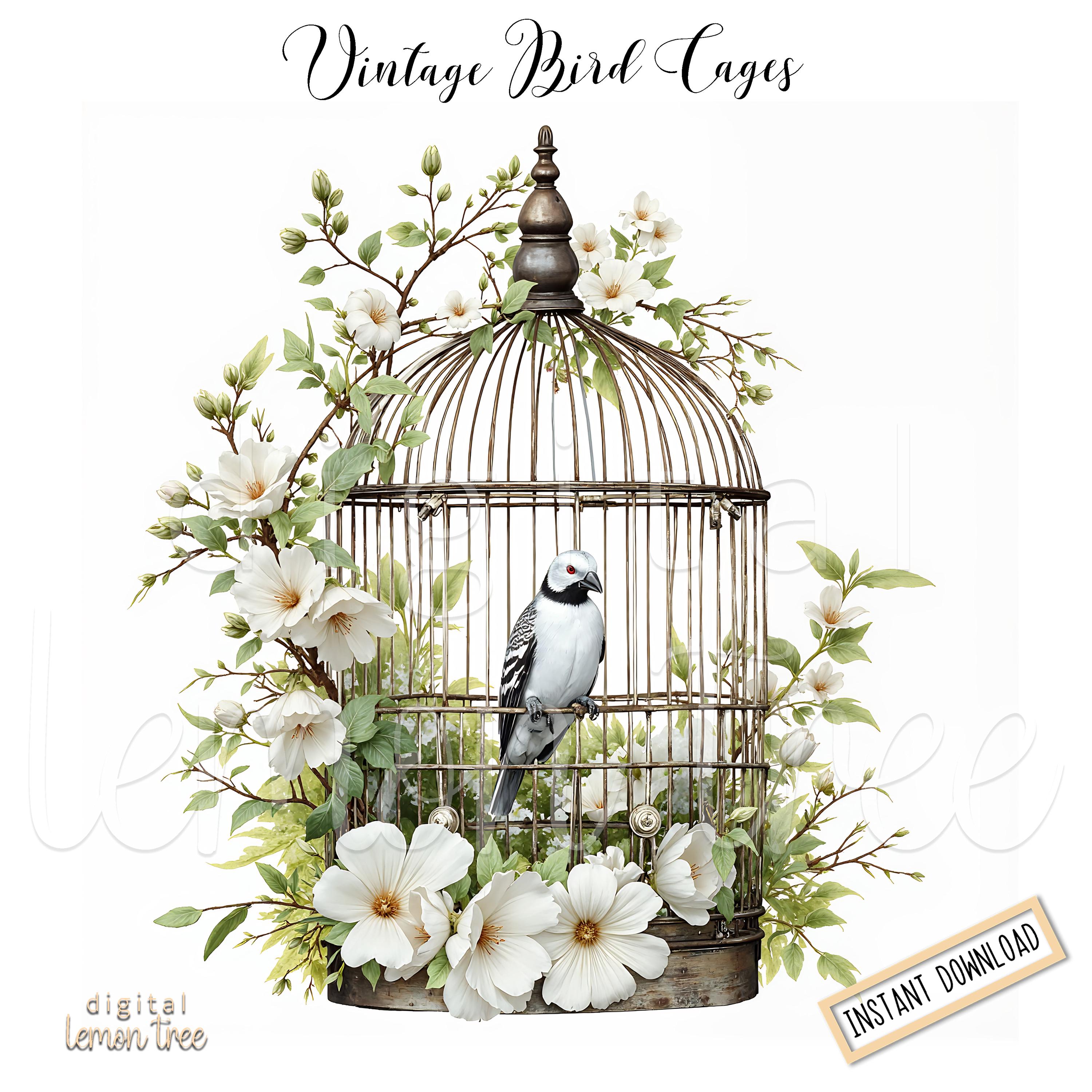 Watercolor Vintage Bird Cages Clipart: Victorian Style (digital ...