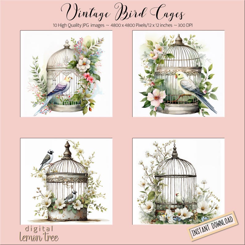 Watercolor Vintage Bird Cages Clipart: Victorian Style (digital ...