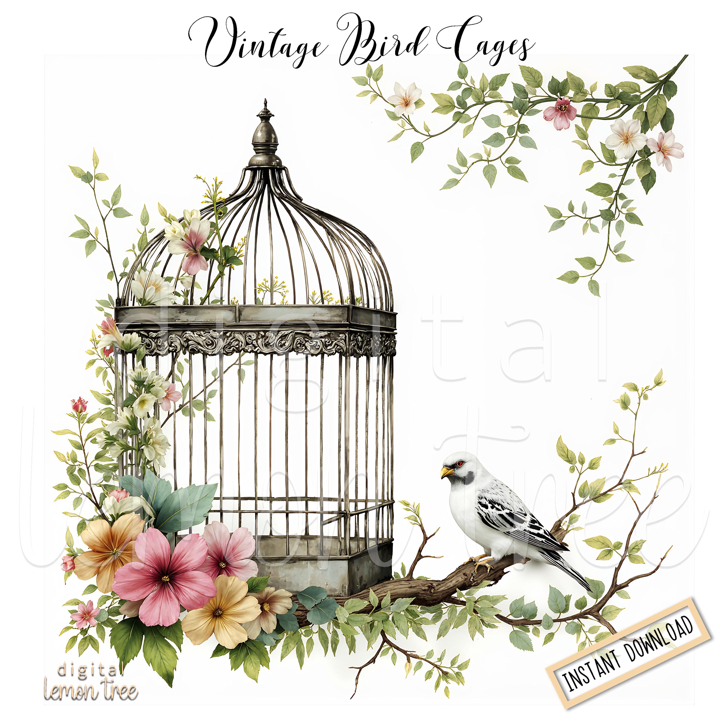 Watercolor Vintage Bird Cages Clipart: Victorian Style (digital ...