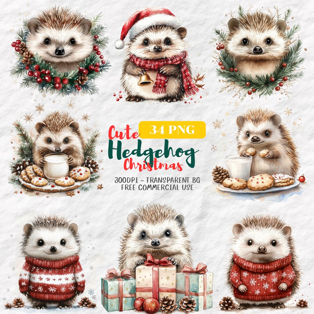 Cute Hedgehog Christmas Clipart, Adorable Hedgehog Holiday Digital Art ...