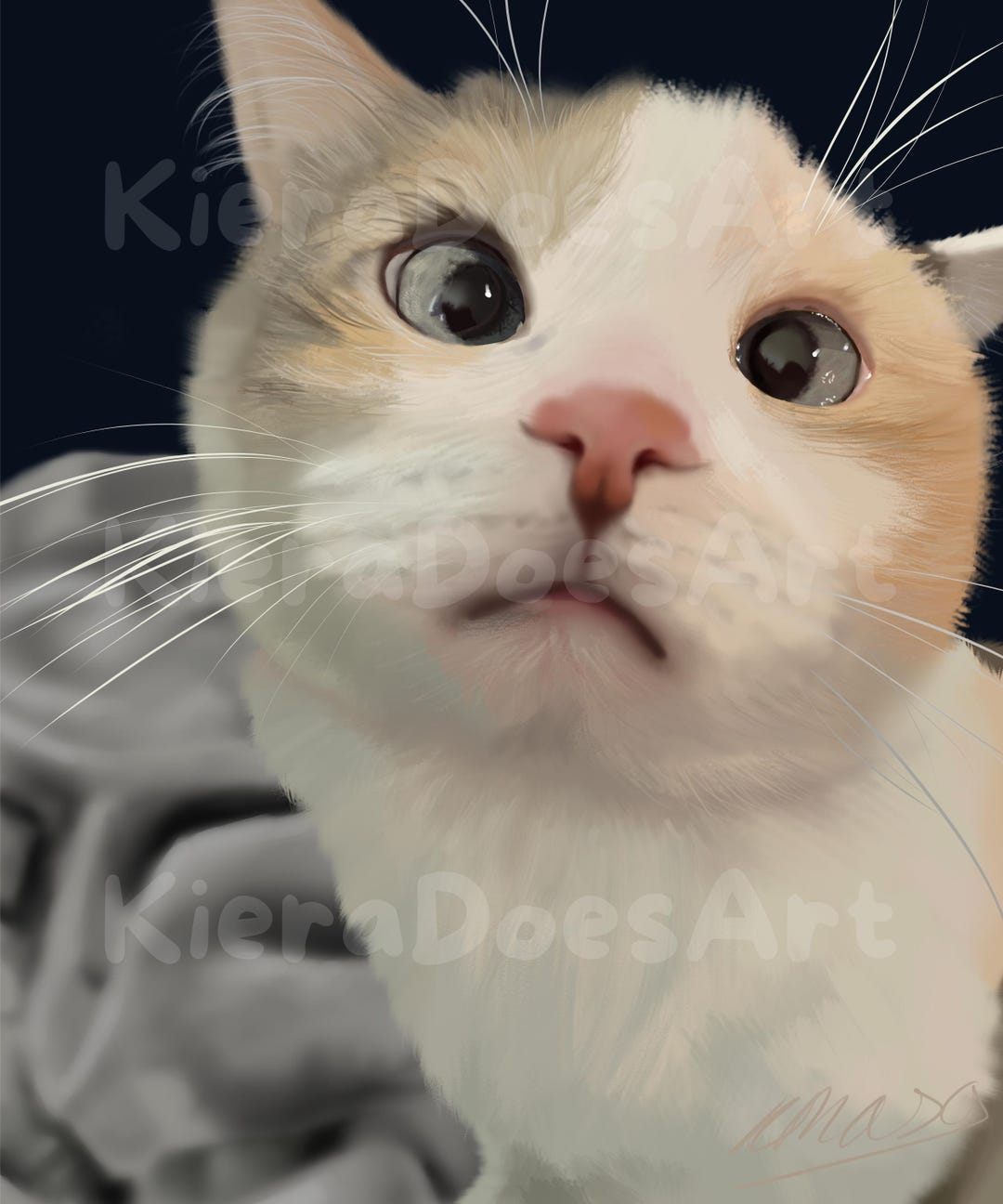 Panko Cat Digital Print - Etsy