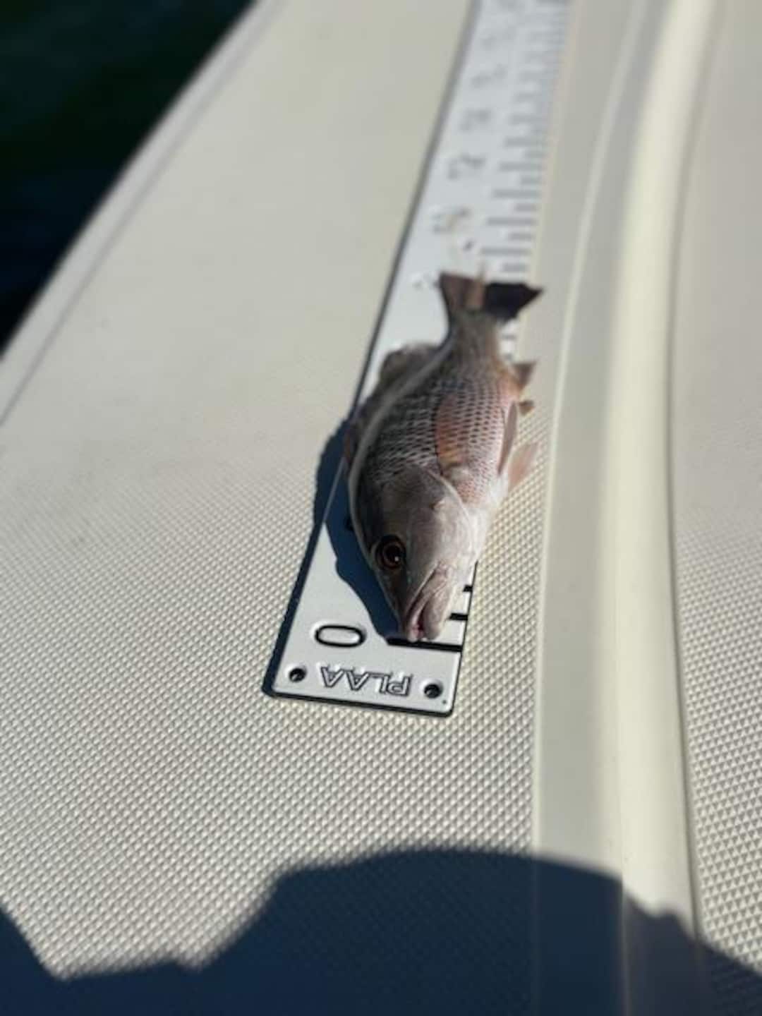 40" Starboard Fish Measuring Stick – CNC Engraved, Saltwater Ready ...