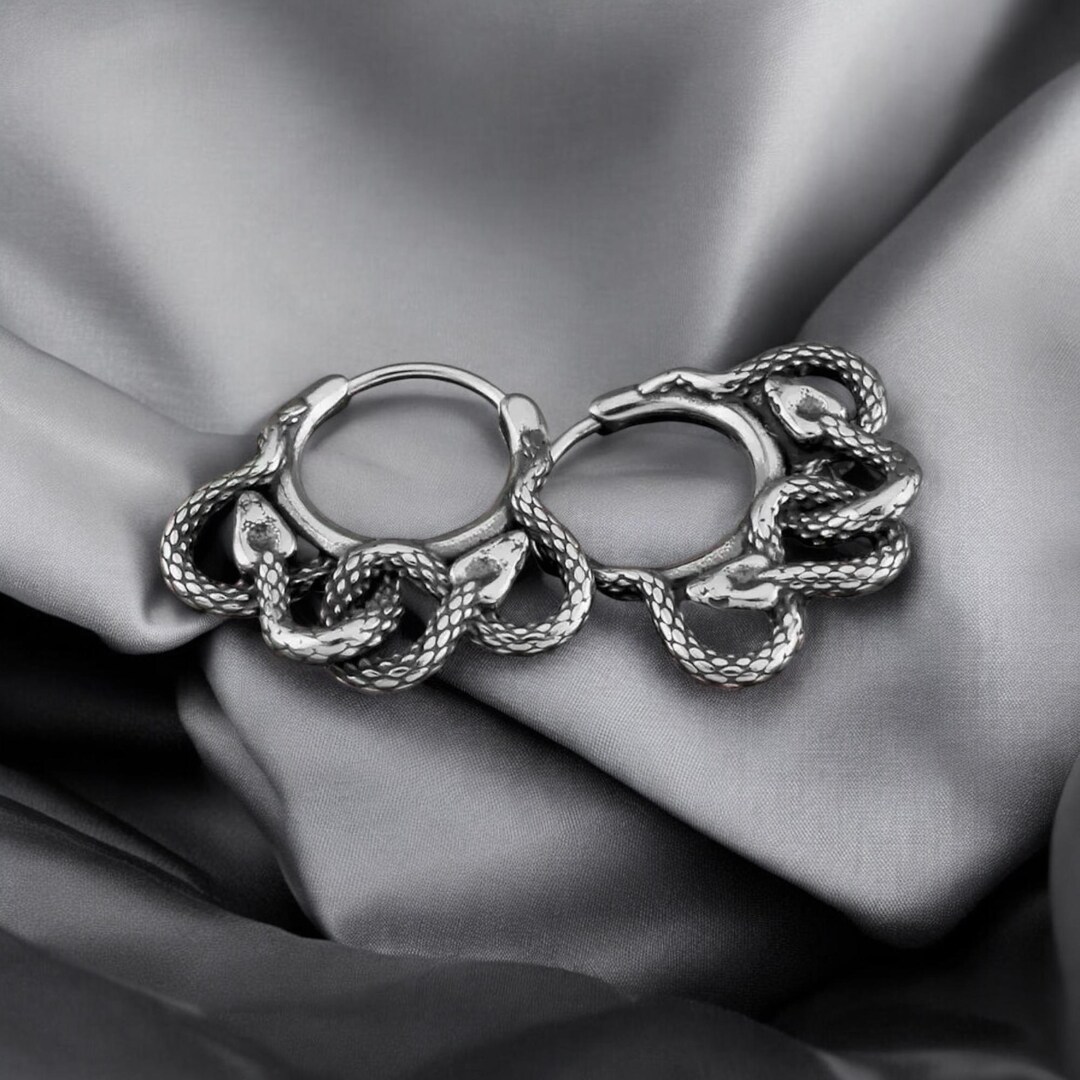 Gothic Snake Hoop Earrings Stainless Steel, Punk 2 Snakes Design ...