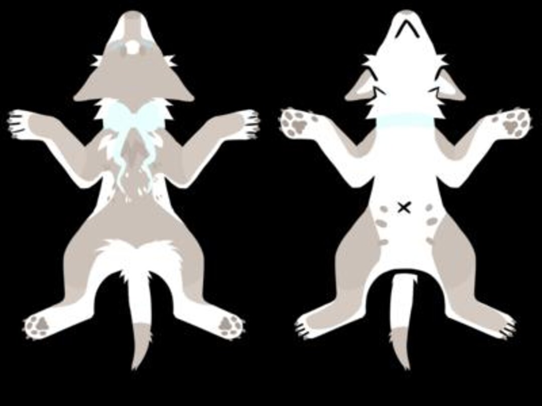 Furry Oc Adoptable Character Design Adopt Front and Back - Etsy
