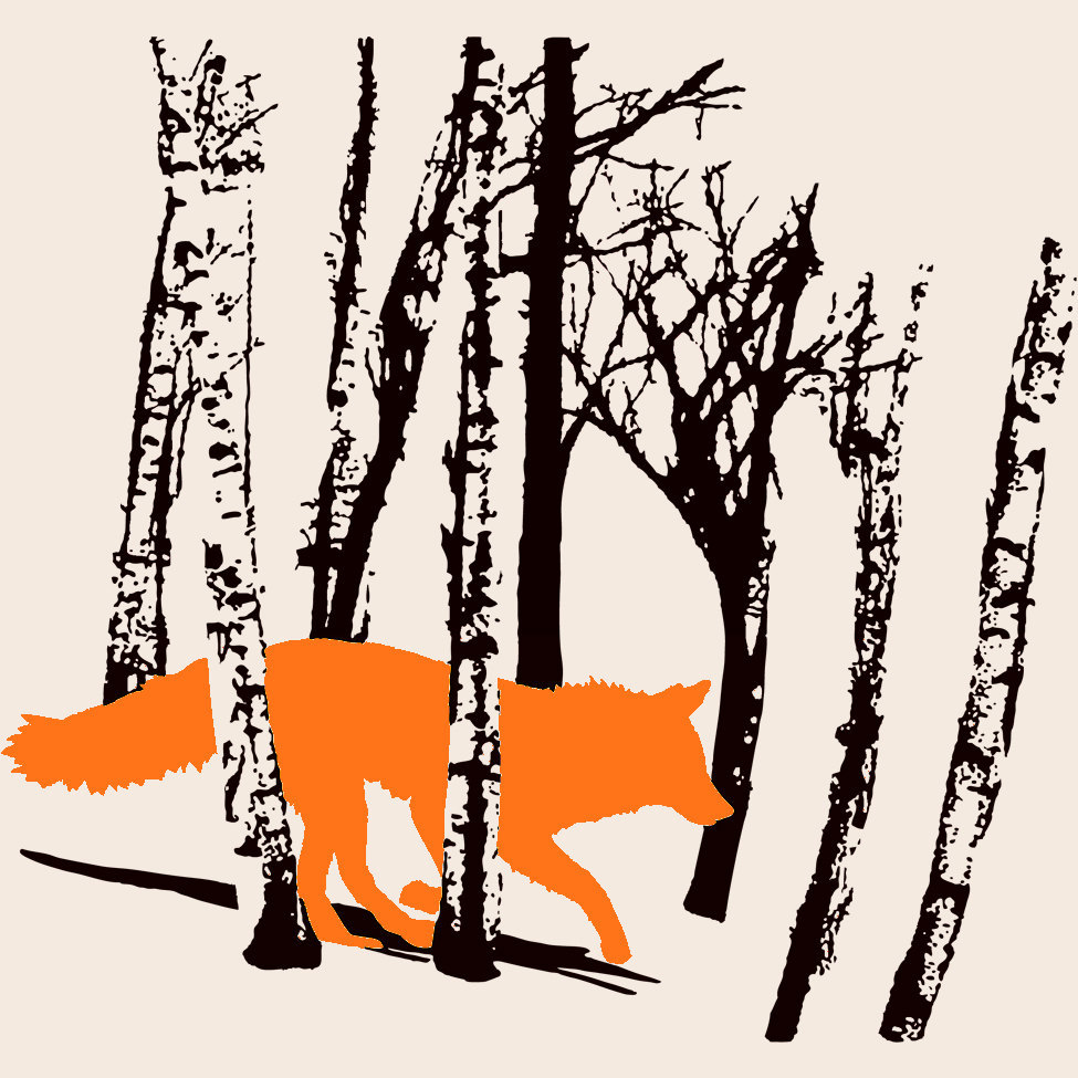 Lunch Bag Fox Lunch Bag Fox Lunch Box Kids Woodland WOLF | Etsy