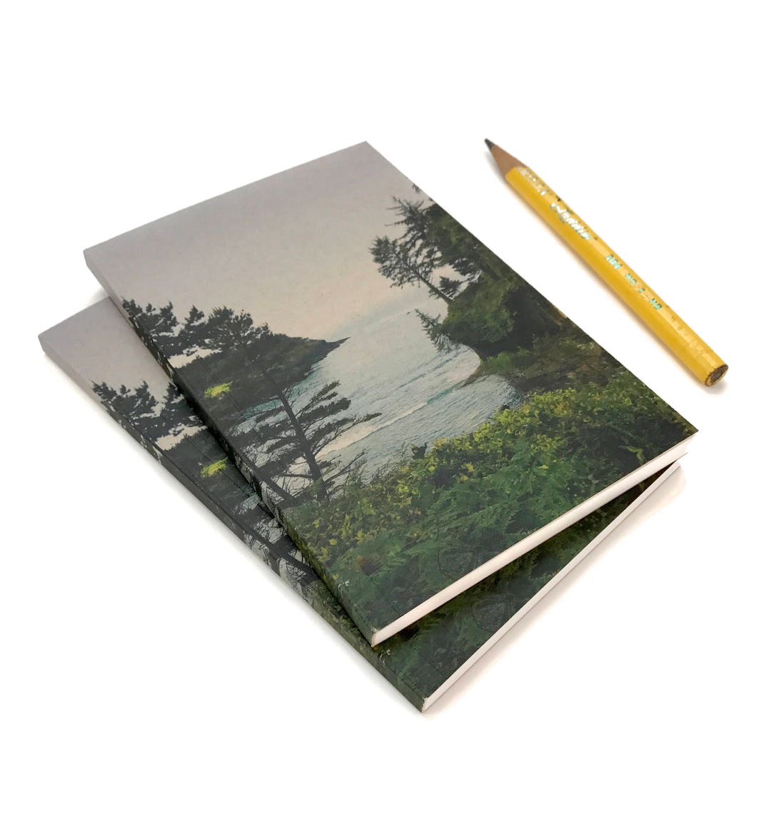 Oregon Coast Journal: PNW Nature Notebook, Whale Cove Art (4x6) - Etsy