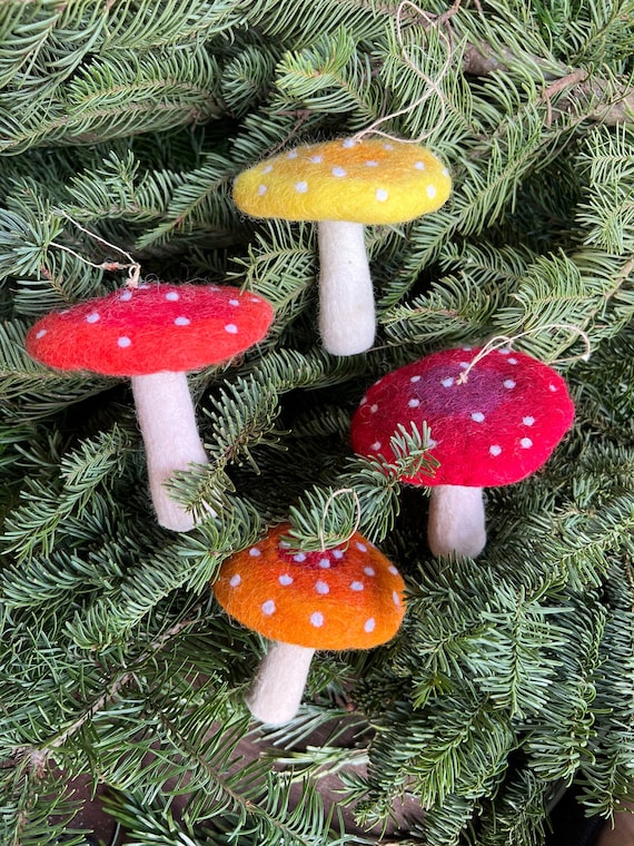 Hongos Rojos