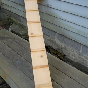 Cedar Cat Climbing Ramp, Wall Mounted or Standard, 44" Long - Etsy