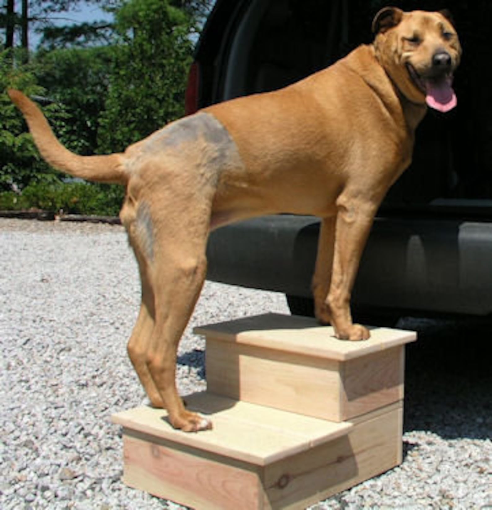 Outdoor Pet Steps, Cedar Pet Steps, Wood Dog Steps - Etsy