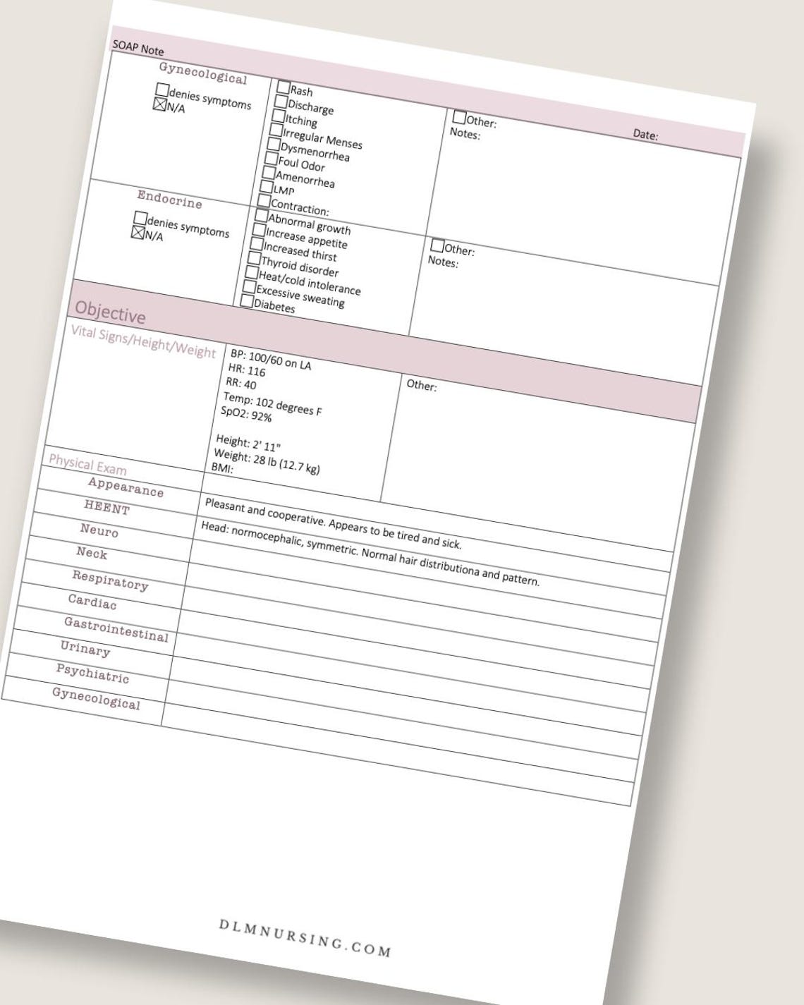 Essential SOAP Note Template for Health Professionals (MS Word Template ...