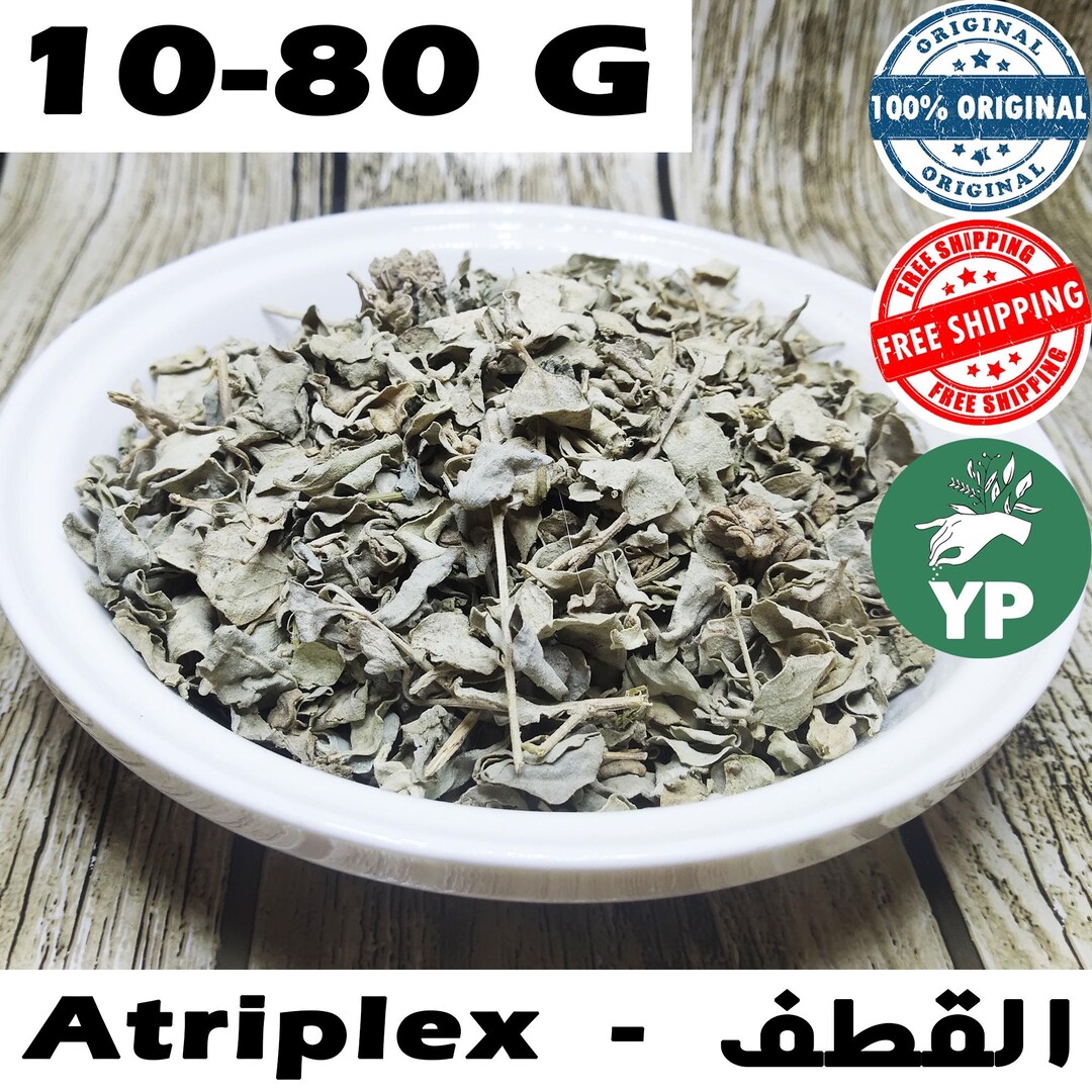 Moroccan Natural Atriplex Halimus Herb Dried Organic Pure 10-80G عشبة ...