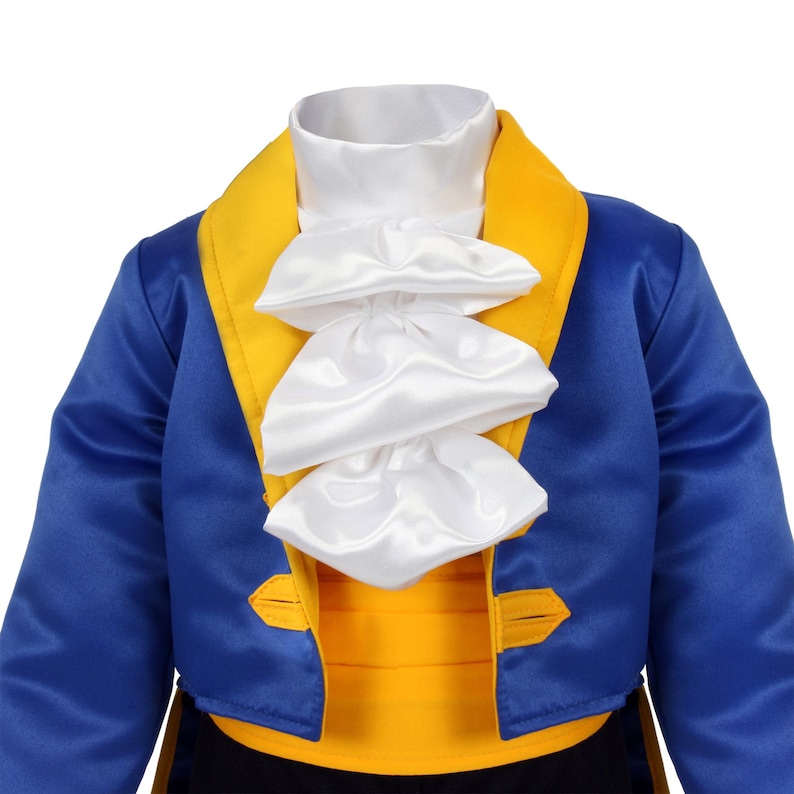 Prince Adam Royal From Beauty and the Beast Boy's Costume. --- Prince ...