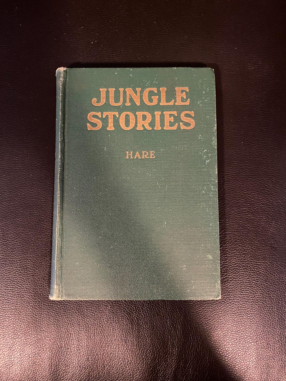 Jungle Stories by Eric B Hare - Etsy
