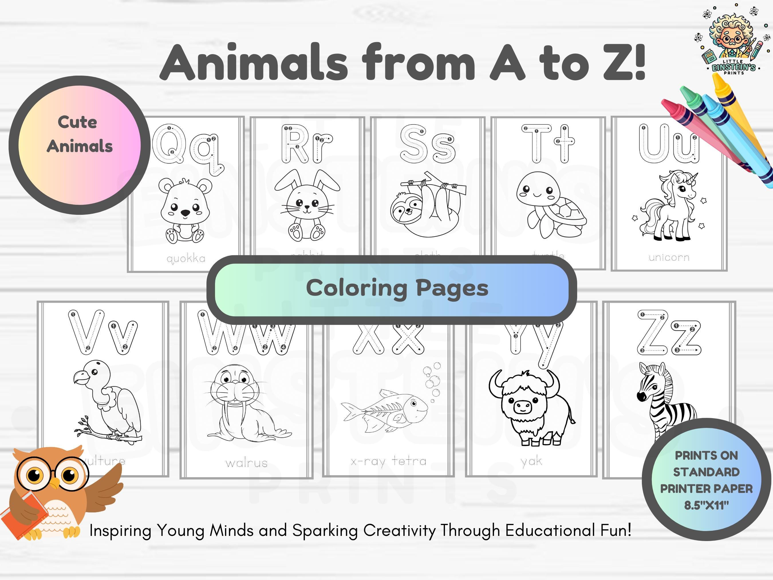 Printable Kids Alphabet Animal Coloring Book Fun & Educational Coloring ...