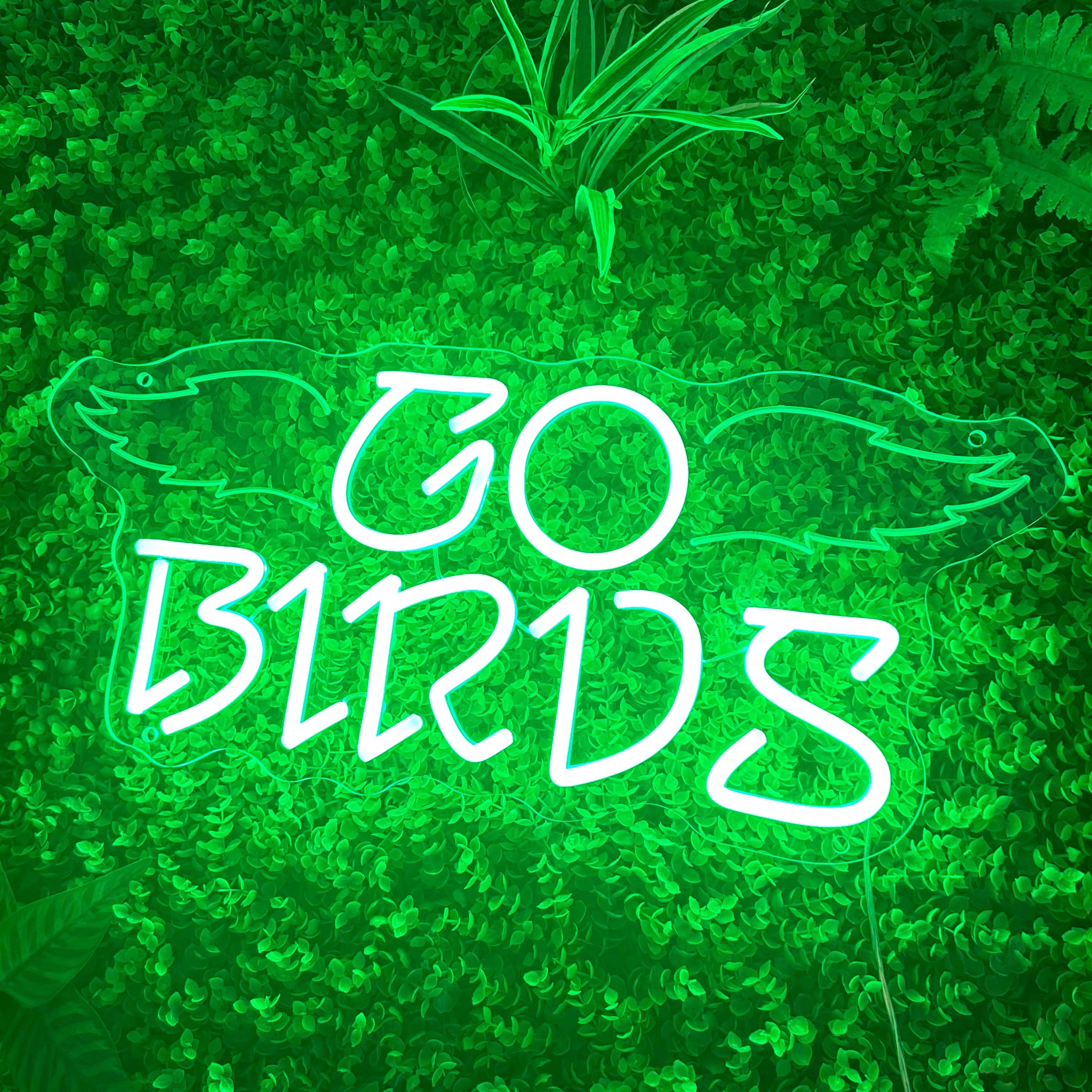 Go Birds Neon Sign, Football Neon Sign, Kelly Green Retro, Gift for ...