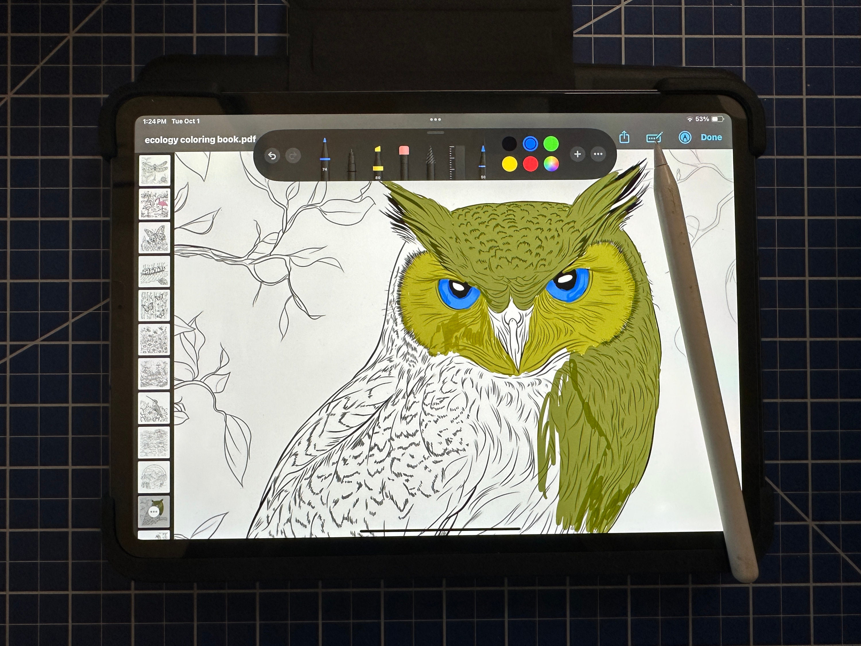 Studio Ghibli Style Ecology Coloring Book | 25 Pages | Square Digital ...