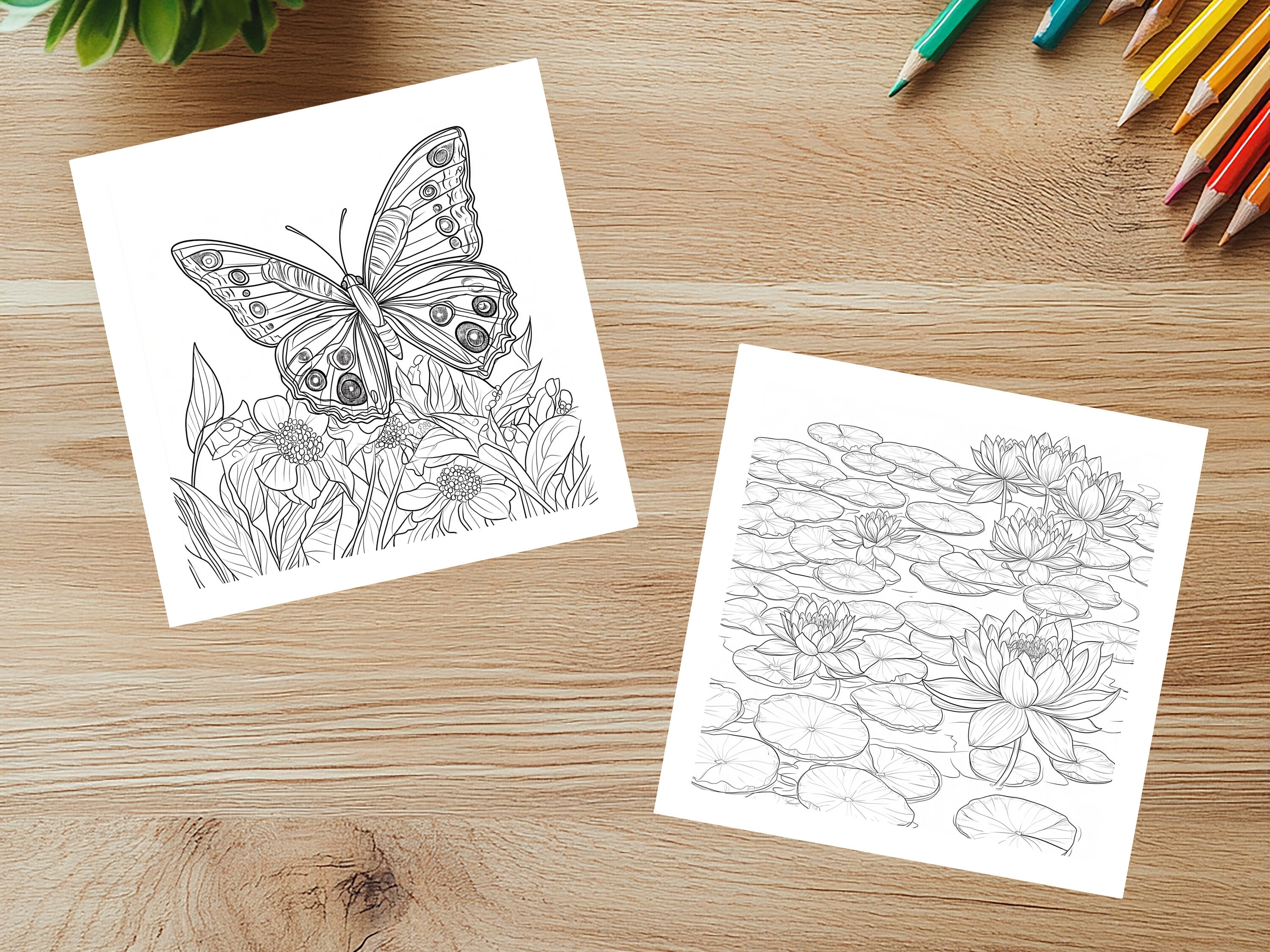 Studio Ghibli Style Ecology Coloring Book 25 Pages Square Digital ...
